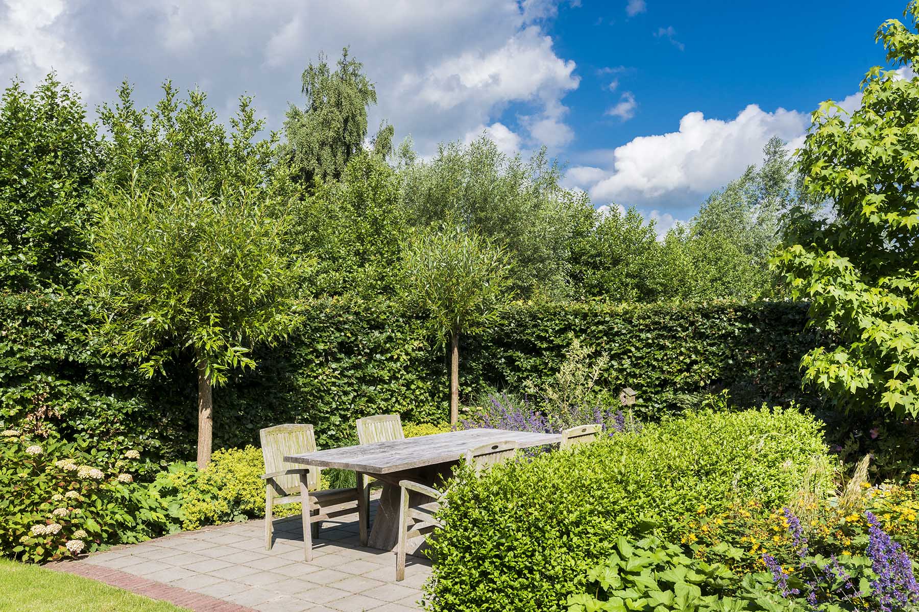 Tuinontwerp Woerden. Kleurrijke en groene familietuin | Groengroep